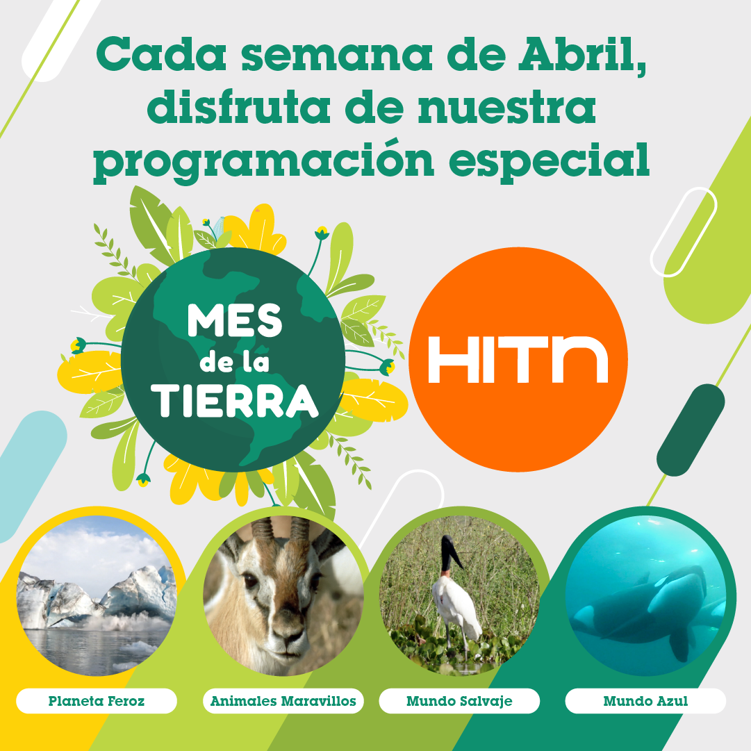 HITN ‘se pinta de verde’ con su Festival de la Tierra - HITN